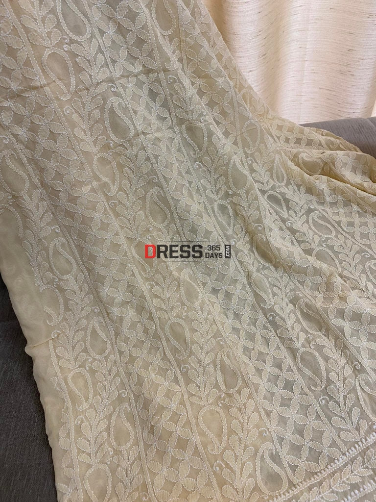 All Over Front and Back Lucknowi Chikankari Suit – Dress365days