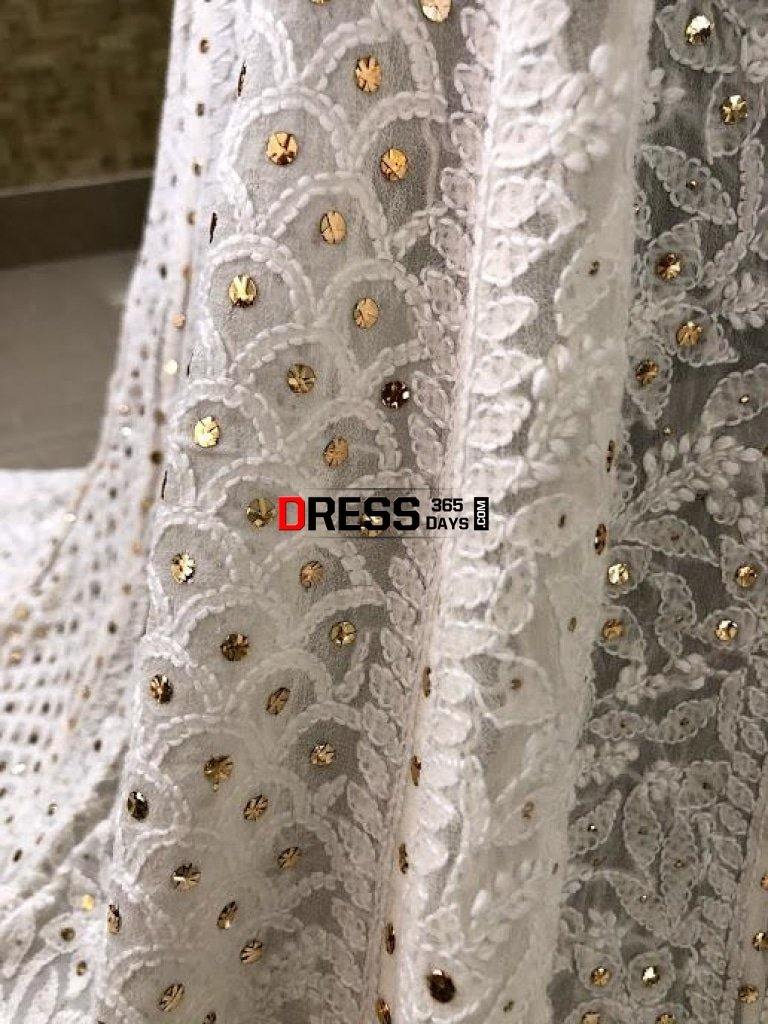 Lucknowi Chikankari Lehenga Skirt (Only Lehenga) – Dress365days